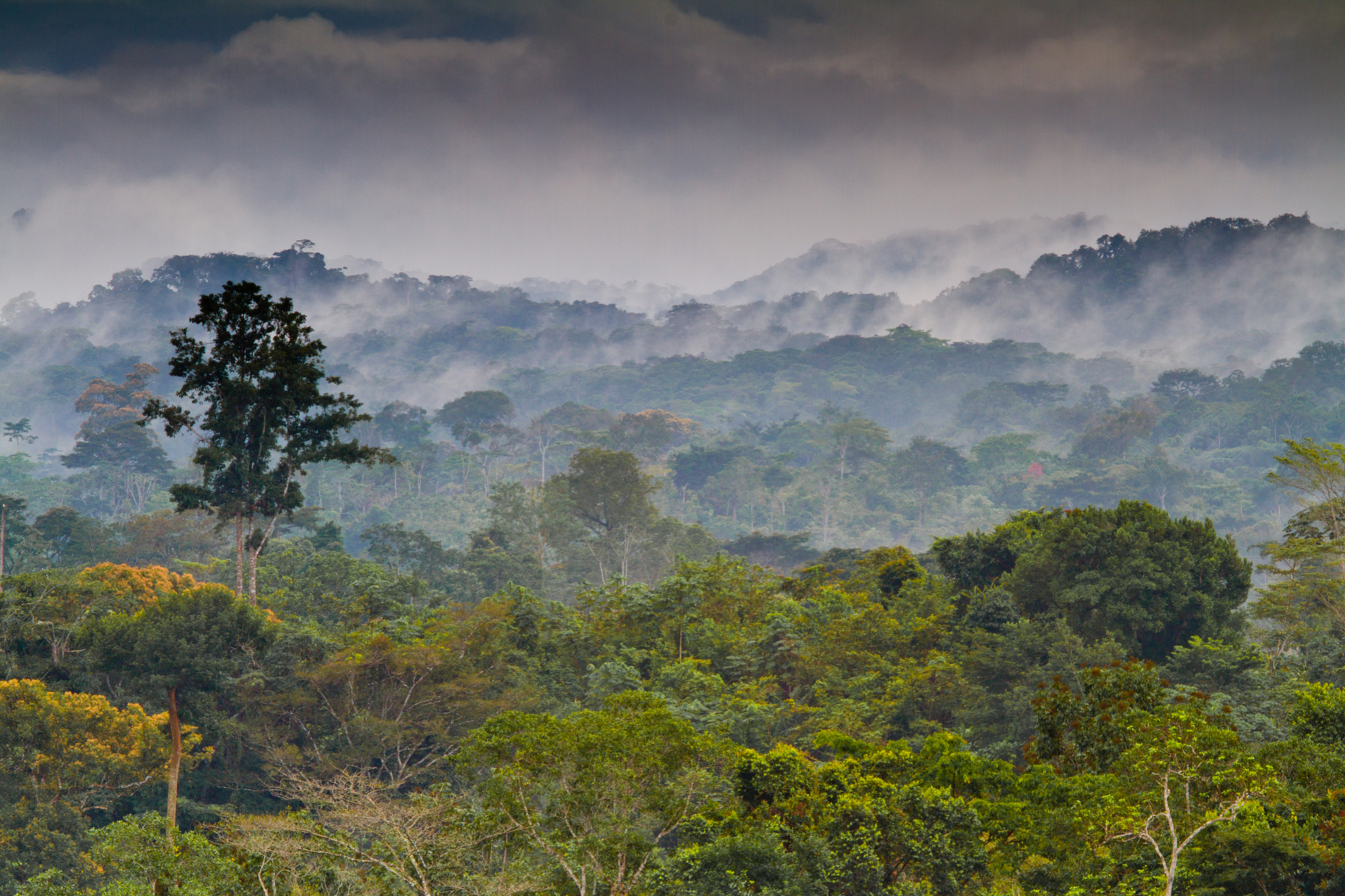 5 Things To Know About Equatorial Guinea, Africa's Only Spanish ...