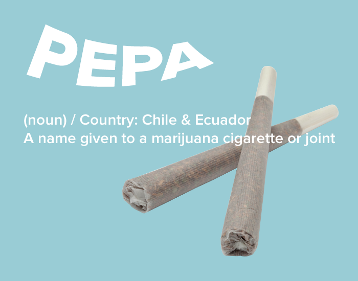 A Guide to Weed Slang in Spanish: 10 Helpful Terms to Know