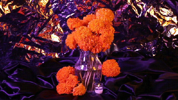 A Step-by-Step Guide to Building Your Own Altar This Día de Muertos