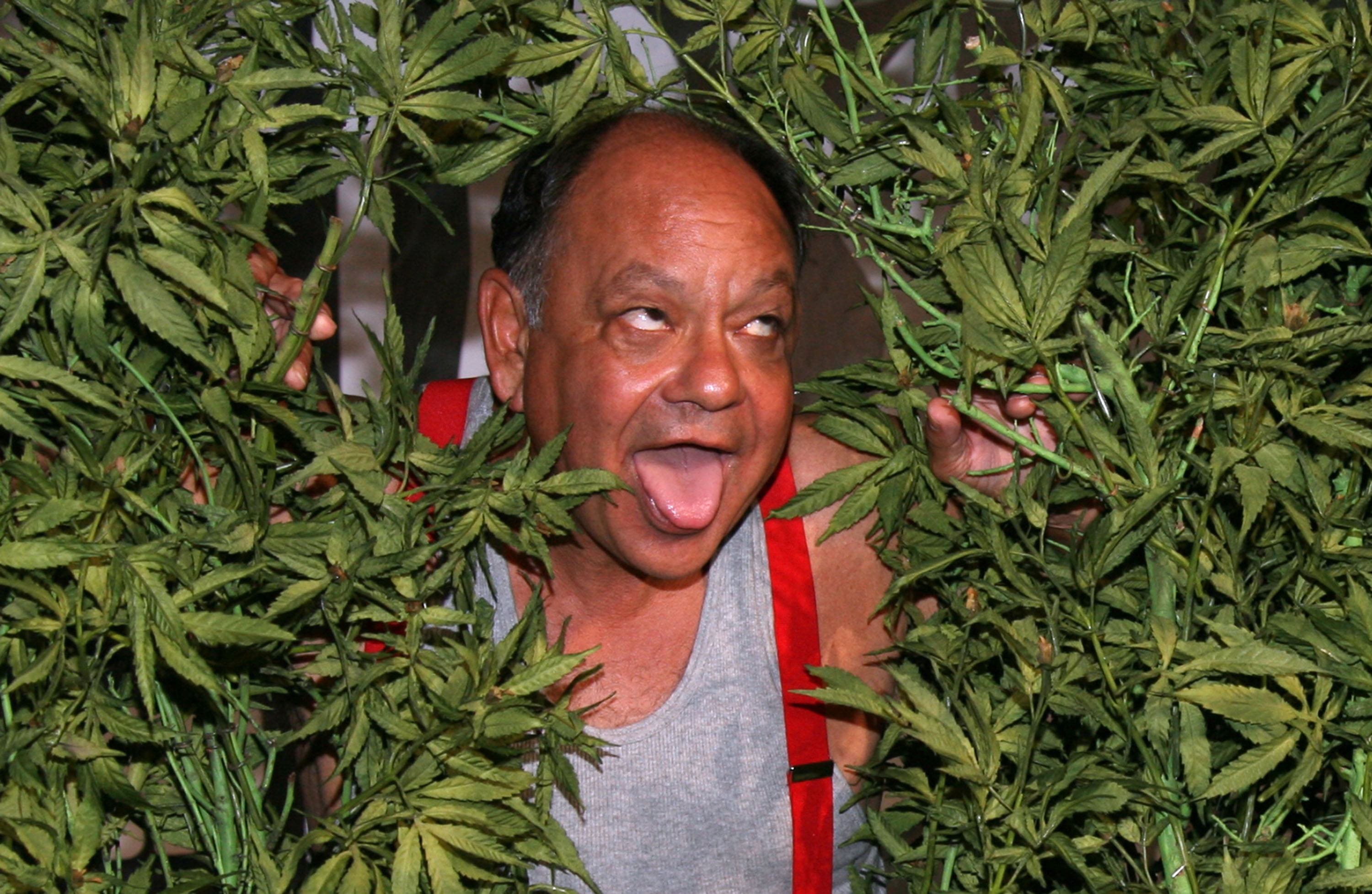 Cheech Marin Recently Launched His Own Pot Brand