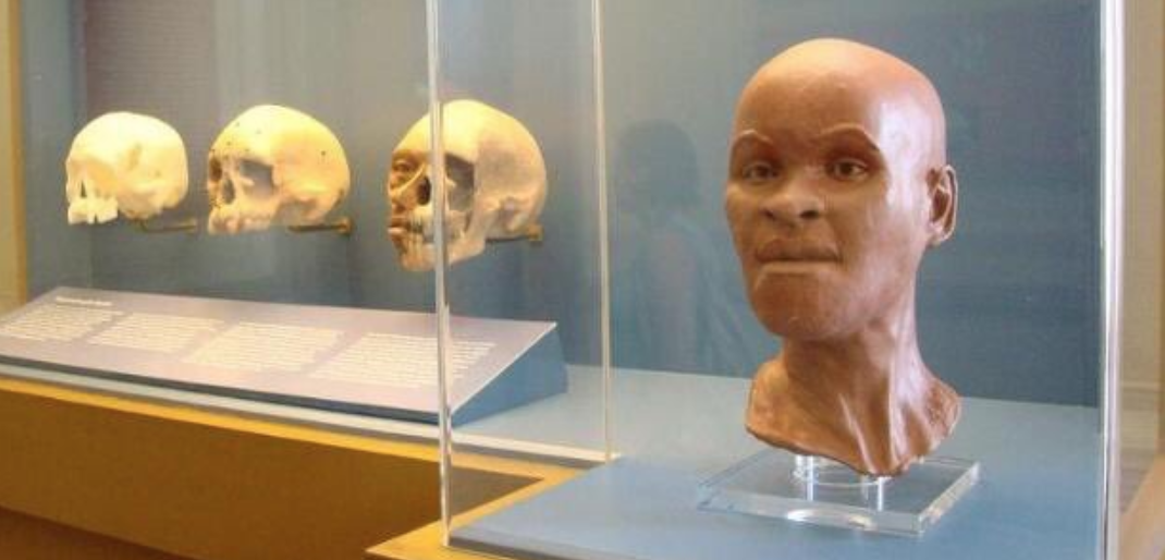 The Story of Luzia, the Oldest Human Skull Found in the Americas