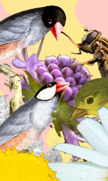 13 Latinxs on How Their Parents Succeeded & Failed With "The Talk"