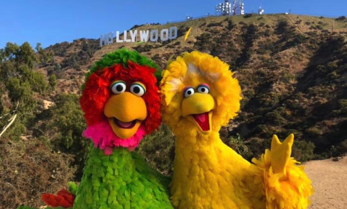 'Sesame Street' 50th Anniversary: Cousins Big Bird & Abelardo Reunite