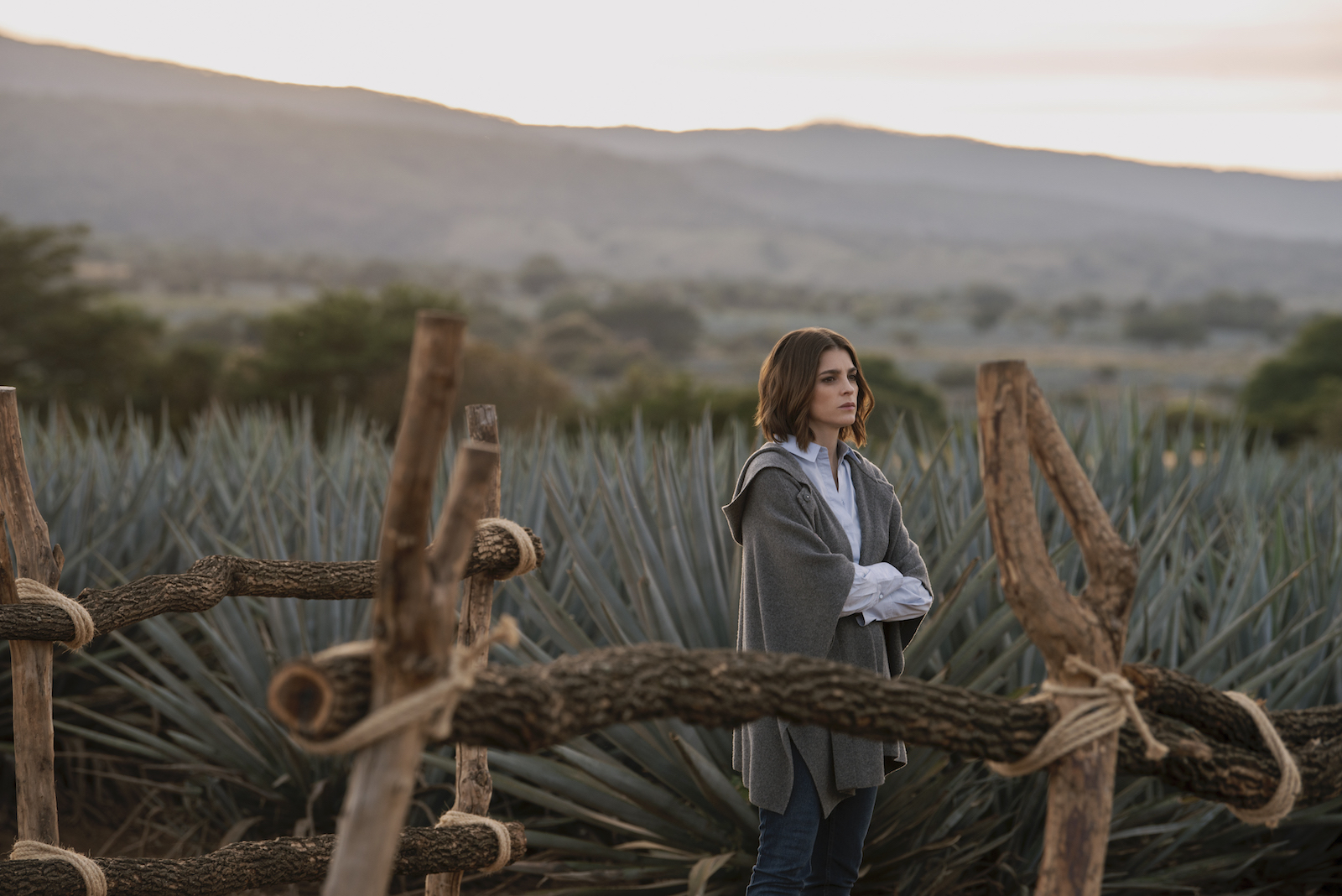 Trailer 'Monarca' Netflix Series About a Corrupt Family-Run Tequila Brand