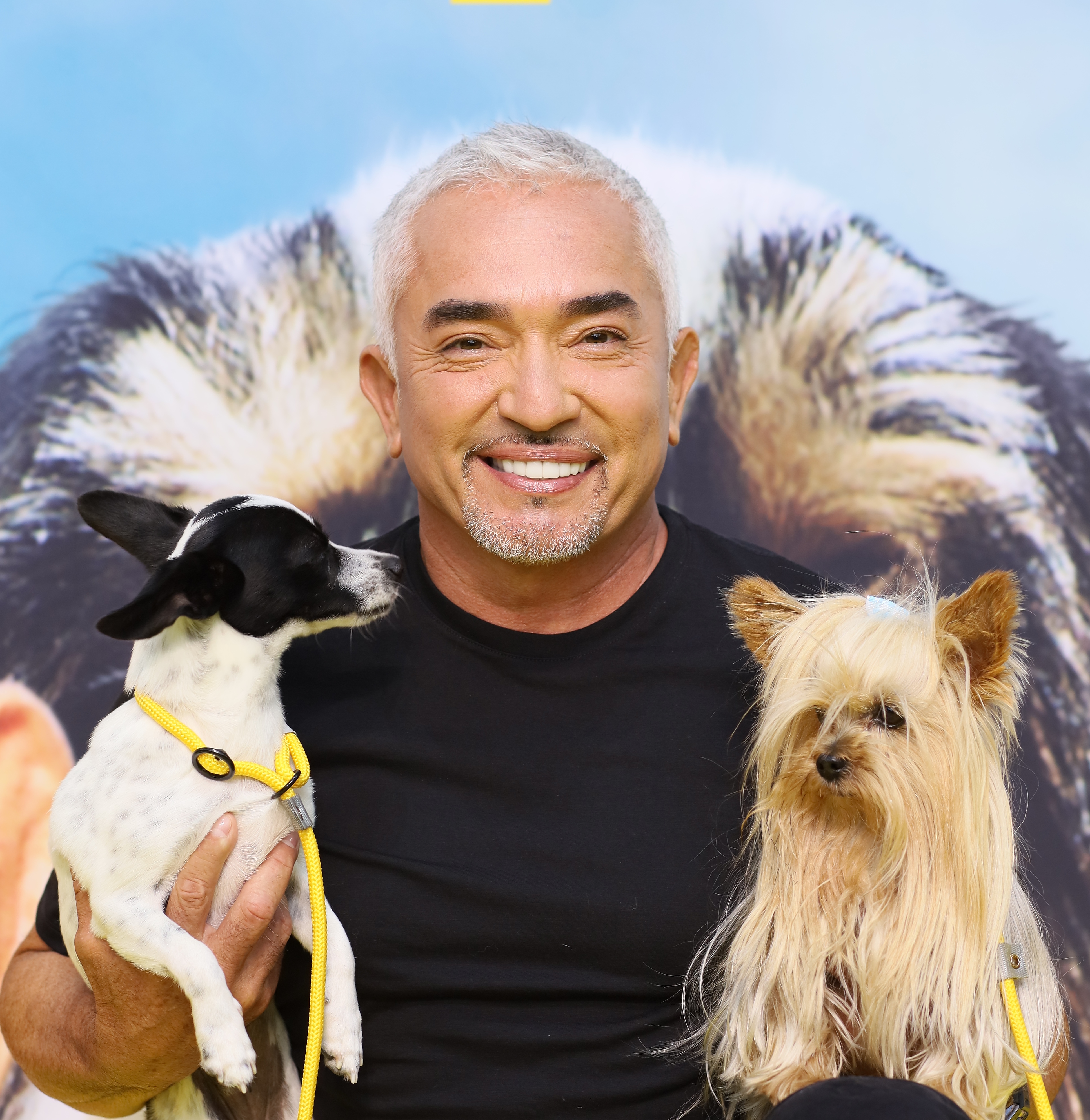 César Millán Explains Why Our Communities Have Great Pet Owners