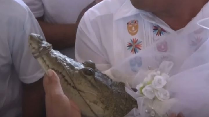 Mexican Mayor Marries Alligator, But It’s Not What You Think — We Explain.