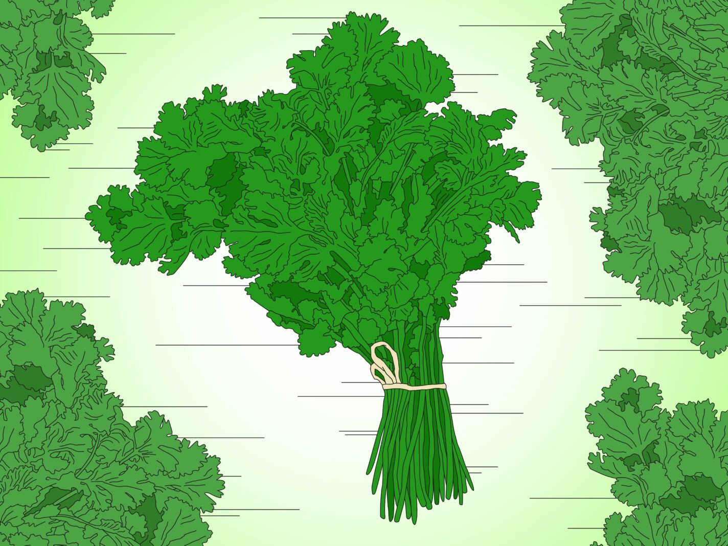 5 Key Ingredients Shared in Korean and Mexican Dishes